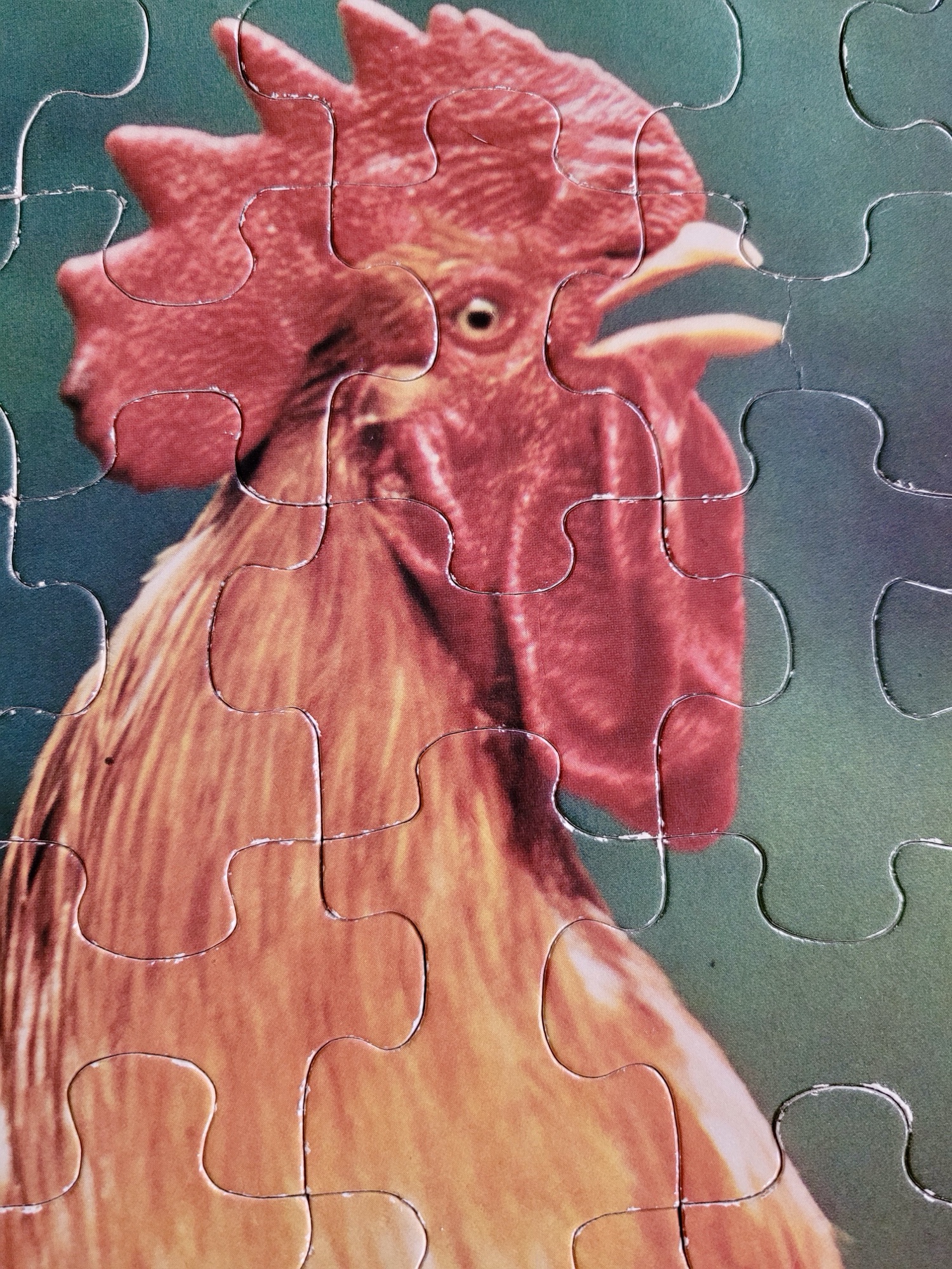 Rooster – thepuzzlesivedone