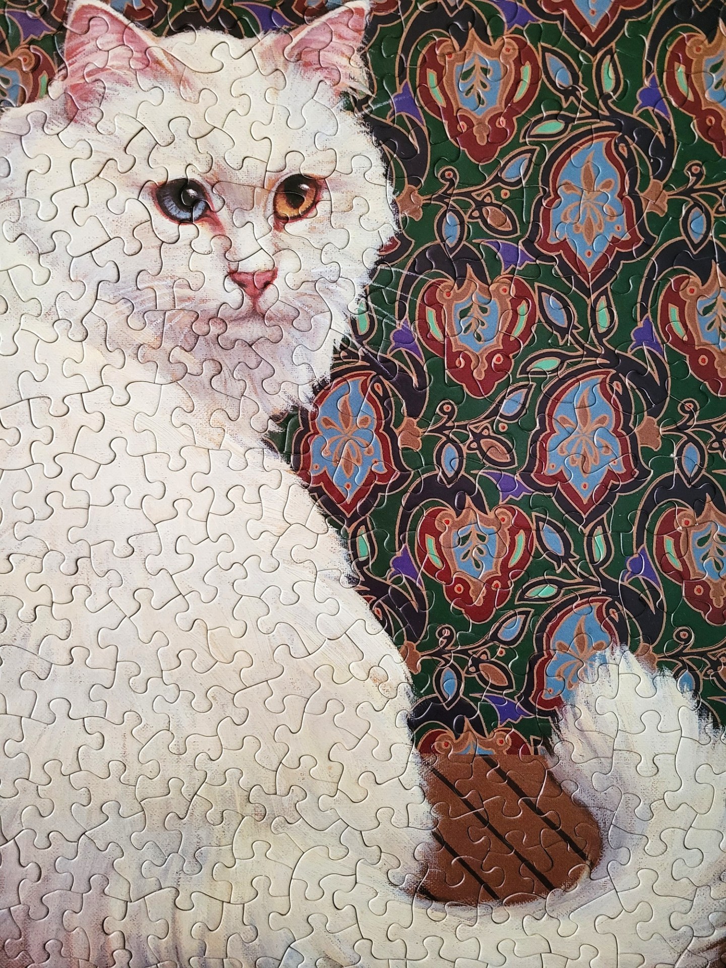 Cosmopolitan Cat – thepuzzlesivedone